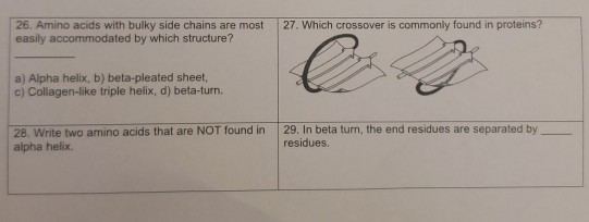 Solved 26. Amino acids with bulky side chains are most | Chegg.com