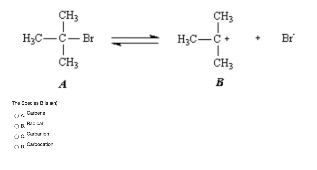 Solved CH3 CH | H3C-C-Br Br H3C—C + | CH; CH; B The Species | Chegg.com