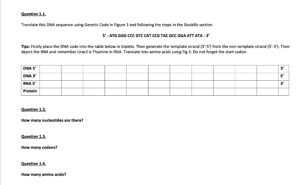 Solved Question 1.1. Translate this DNA sequence using | Chegg.com