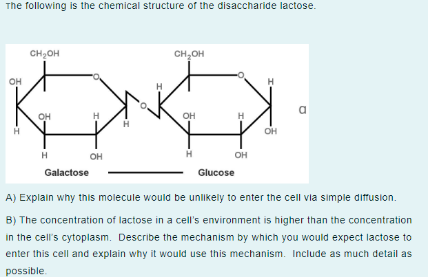 Disaccharide Molecule Structure