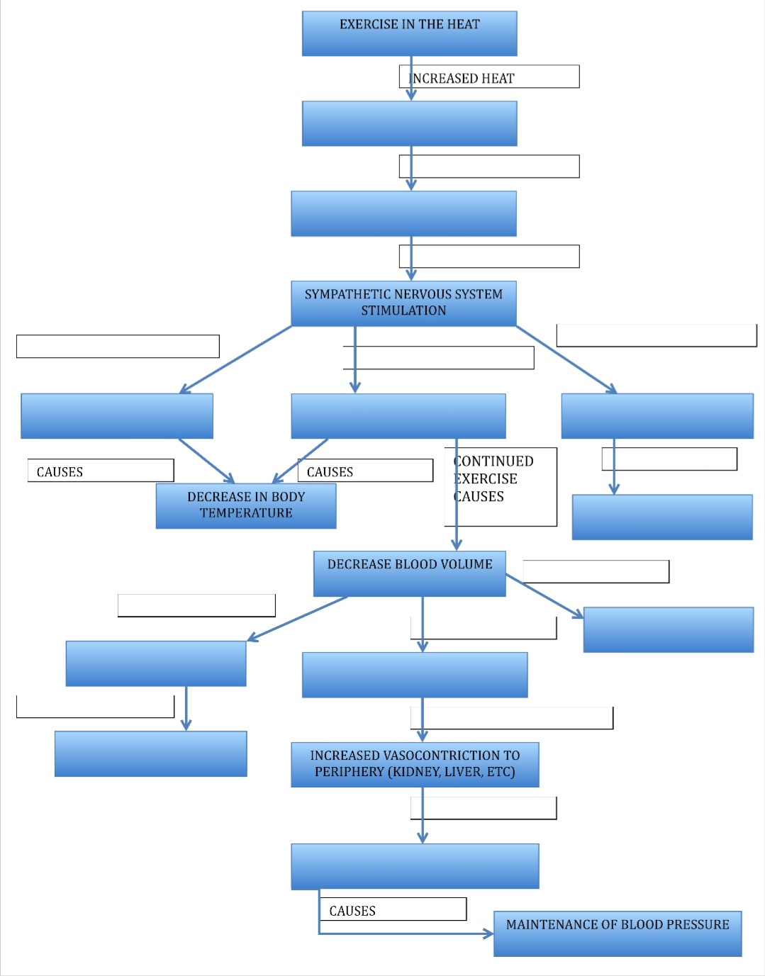 Solved Concept Map \# 3 Response to Exercise in the Heat | Chegg.com