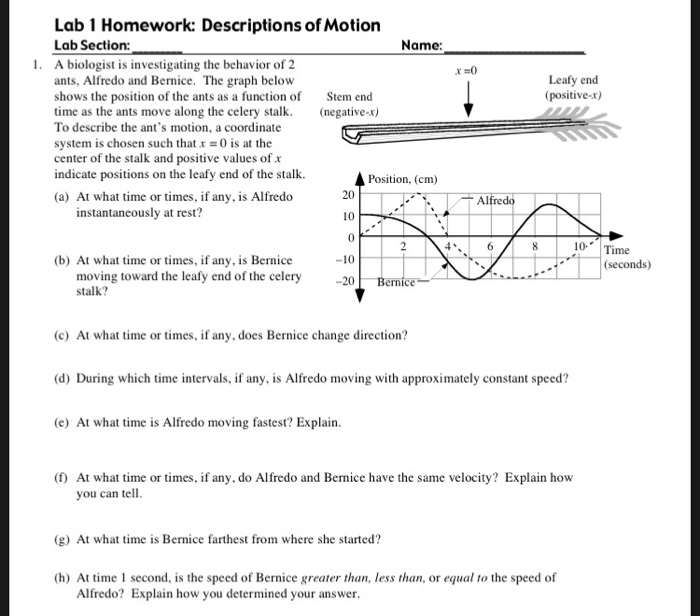 Solved Lab 1 Homework: Descriptions of Motion Lab Section: A | Chegg.com