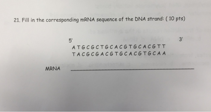 Solved 21. Fill in the corresponding mRNA sequence of the | Chegg.com