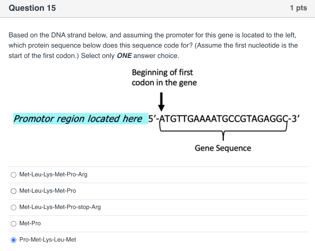 Solved Question 15 1 pts Based on the DNA strand below, and | Chegg.com