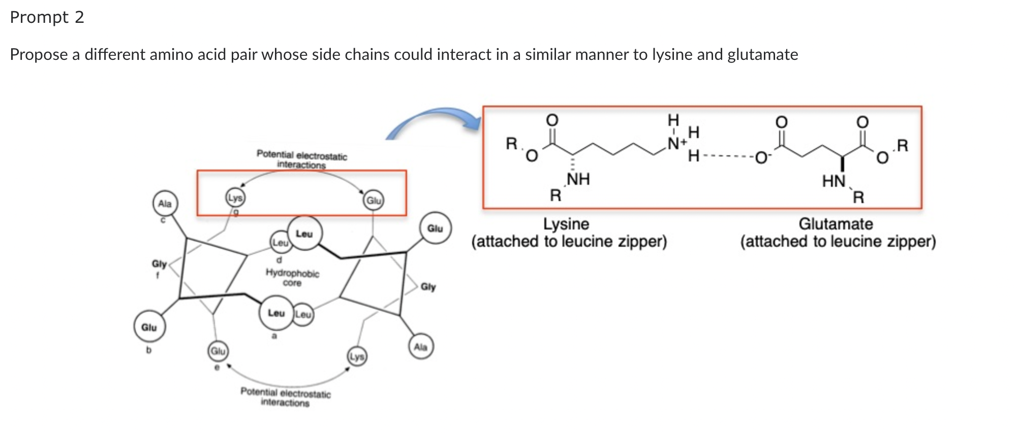 Solved Propose a different amino acid pair whose side chains | Chegg.com