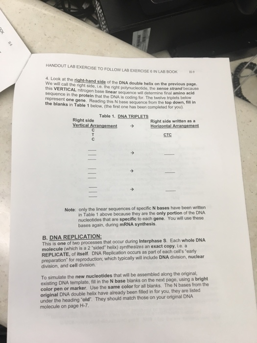 Solved Handout Lab Exercise To Follow Lab Exercise 6 In Lab 7582