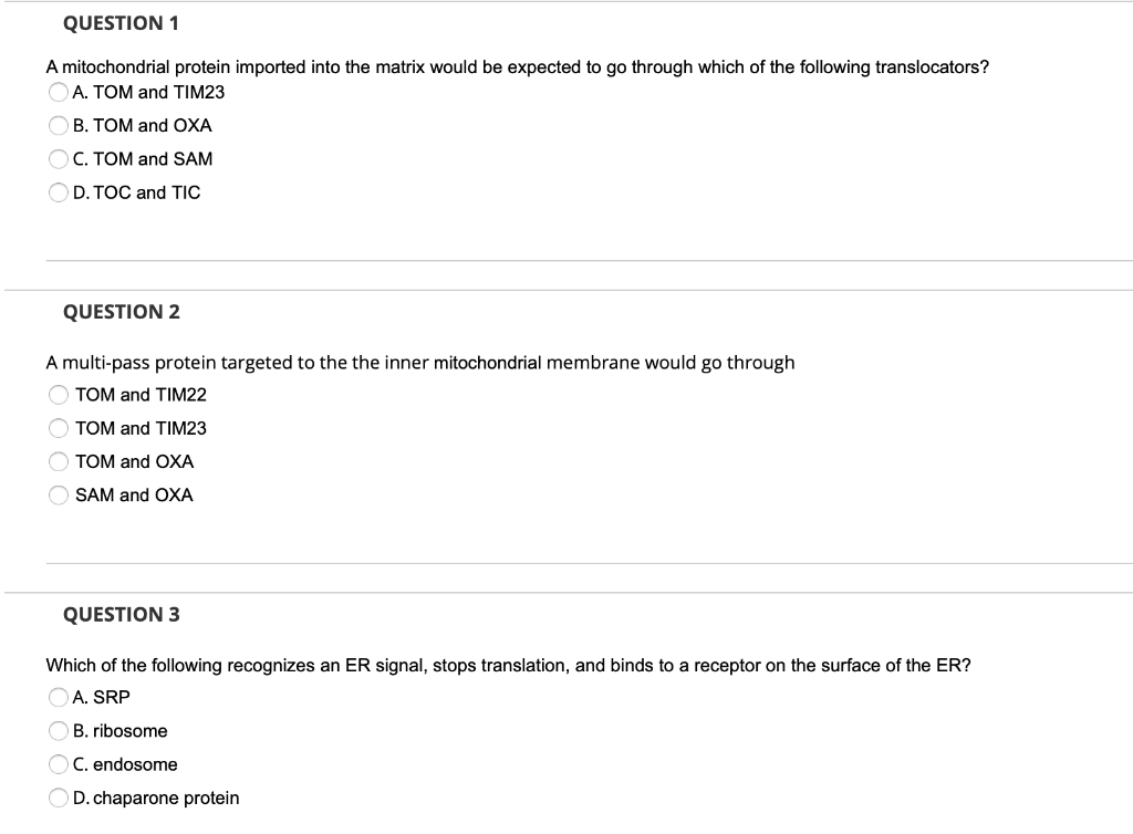 Solved A mitochondrial protein imported into the matrix | Chegg.com