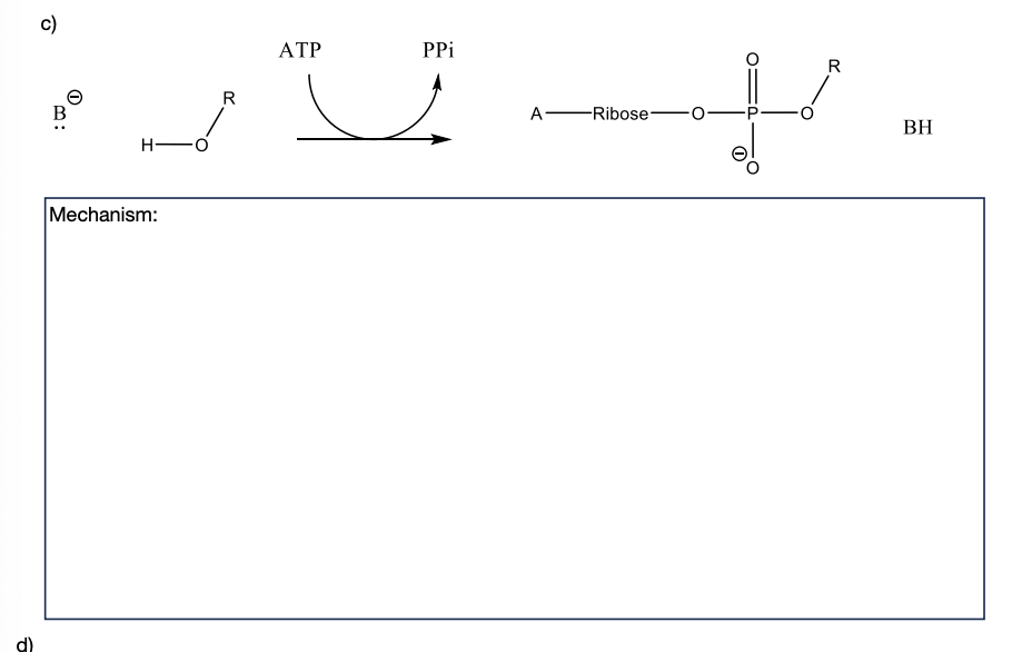 Solved c) Mechanism: | Chegg.com