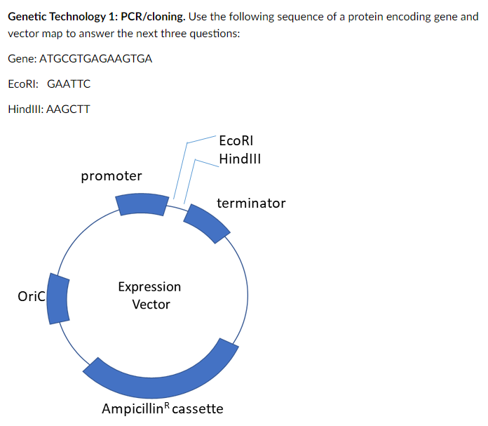 Solved Genetic Technology 1: PCR/cloning. Use the following | Chegg.com