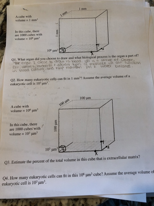 Solved I mm A cube with volume= 1 mm? In this cube, there | Chegg.com