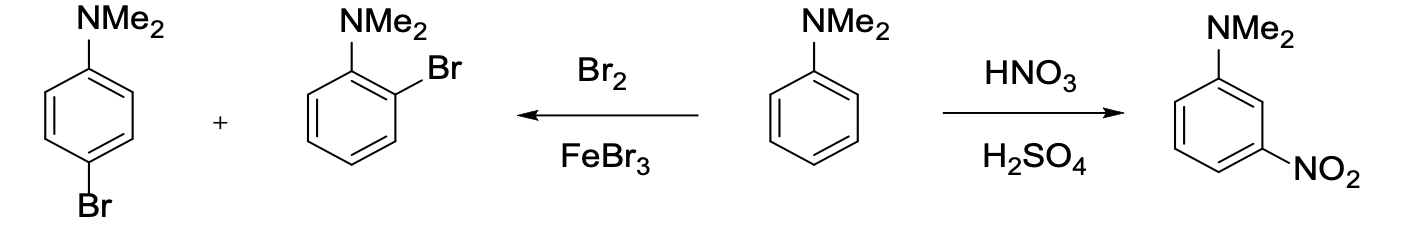 Solved When N,N-dimethylaniline is treated with bromine and | Chegg.com