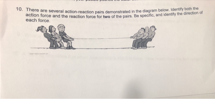 Solved 10. There are several action-reaction pairs | Chegg.com