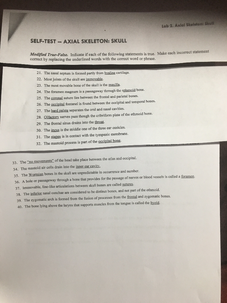 Solved Lab 2. Axial Skeleton: Skull SELF-TEST-AXIAL | Chegg.com