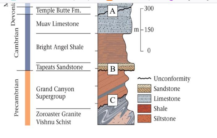 Solved Identify the different types of unconformities in the | Chegg.com