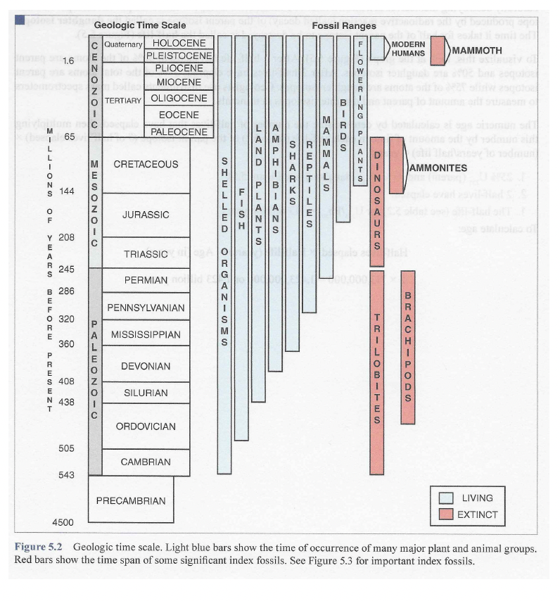 Solved Part B. Match the fossil type (A-F) to its age on the | Chegg.com