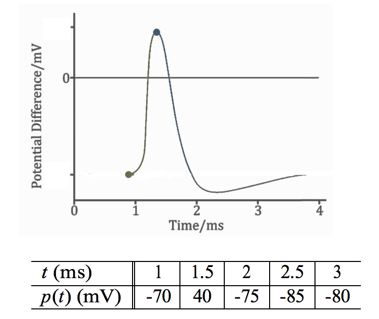Solved Let p(t) be the potential difference (measured in mV) | Chegg.com