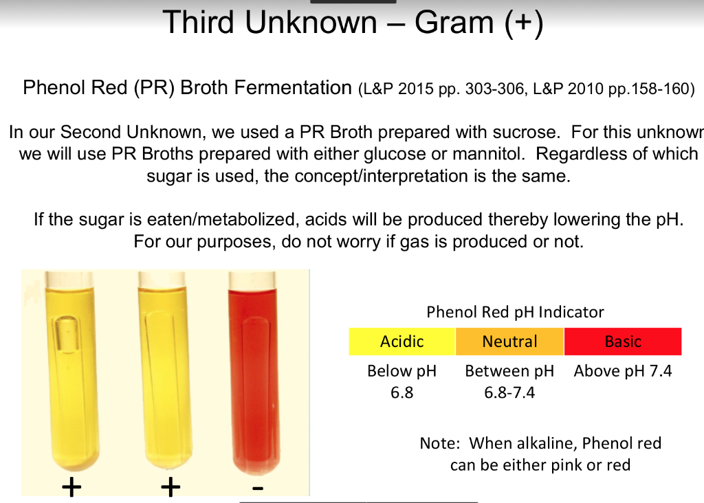 Solved Chart A - Gram-positive, Catalase-Positive Cocci | Chegg.com