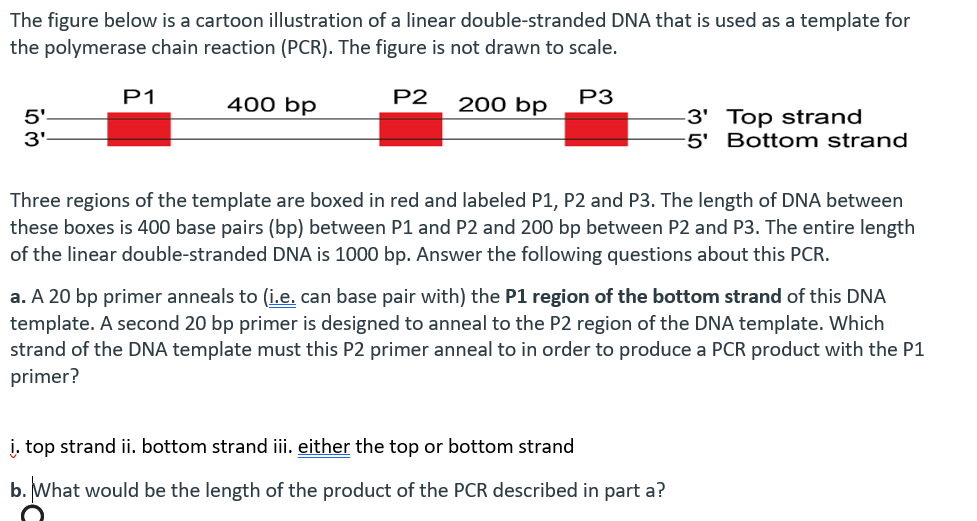 Polymerase Chain Reaction Cartoon