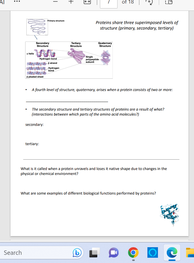 Solved Proteins share three superimposed levels of structure | Chegg.com