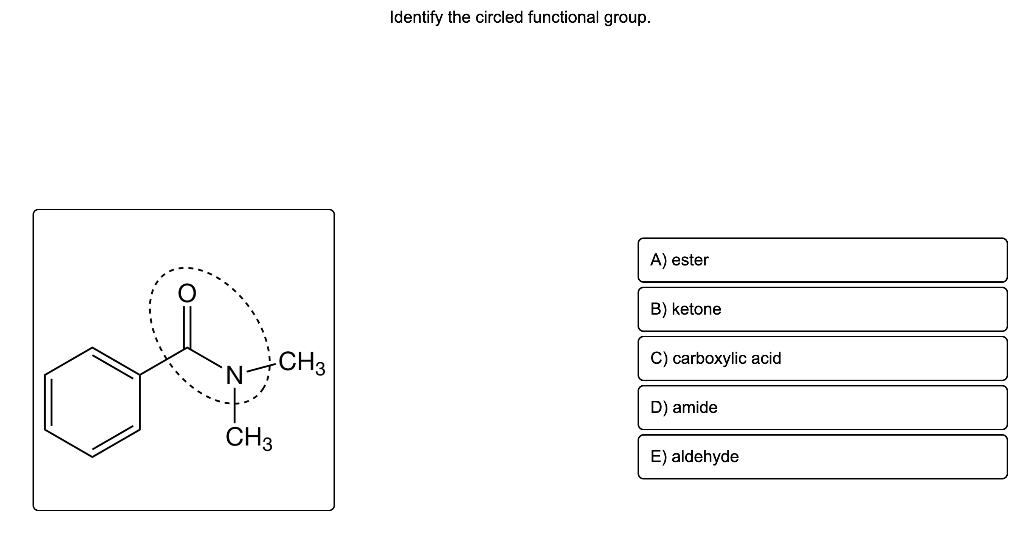 Solved Identify the circled functional group. A) ester B) | Chegg.com
