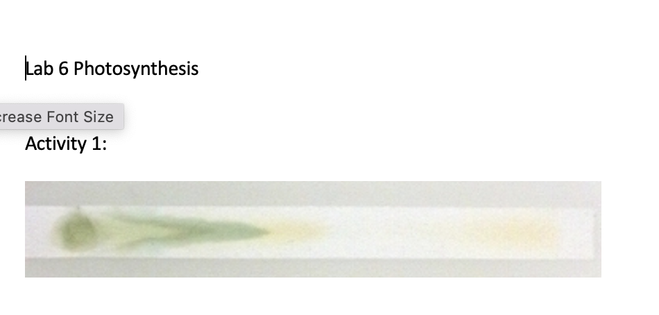 Solved Lab 6 Photosynthesis Activity 1:Results: Table 1. | Chegg.com