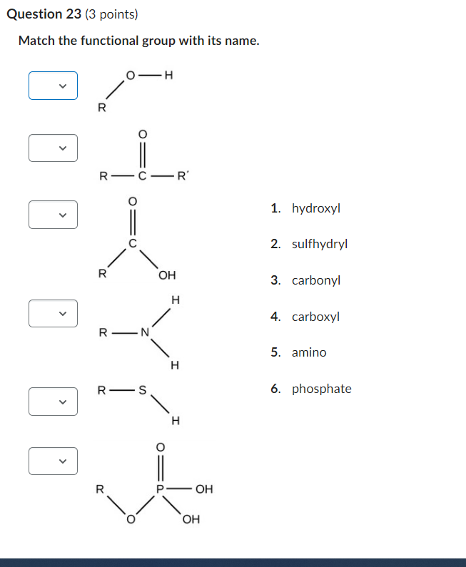 Solved its name. 1. hydroxyl 2. sulfhydryl 3. carbonyl 4. | Chegg.com