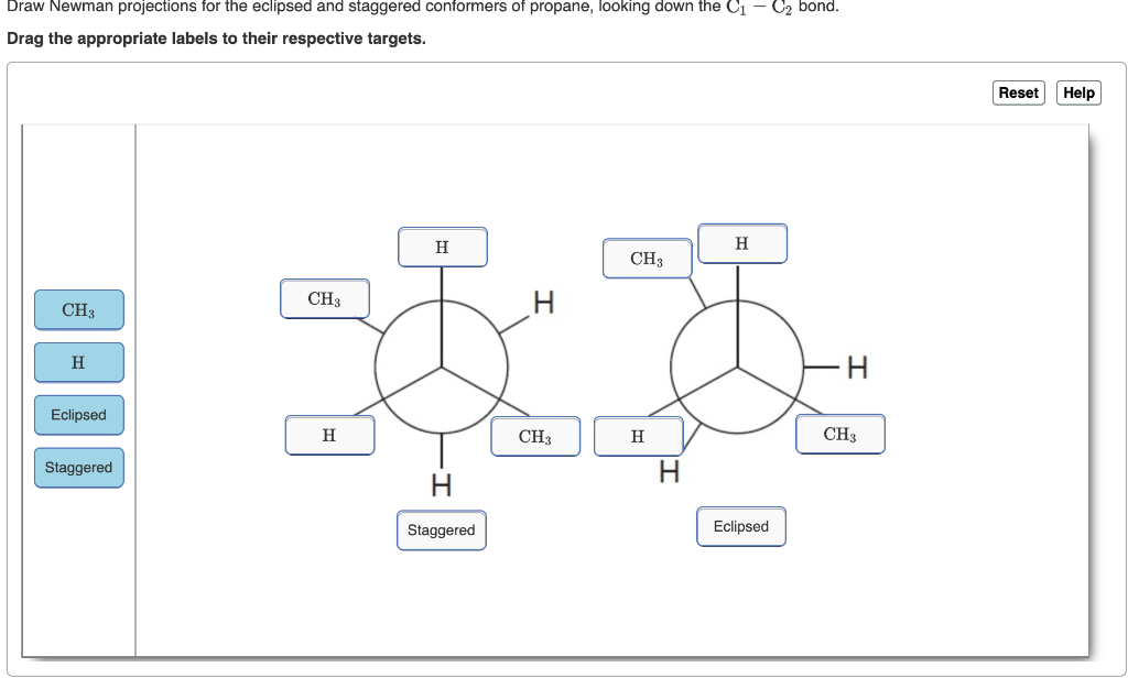 Solved Draw Newman projections for the eclipsed and | Chegg.com