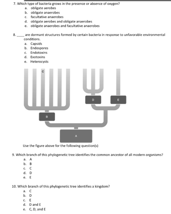 Solved 1. The three domains of life are a. eukaryotes, | Chegg.com