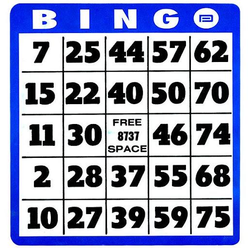 Solved Write a PYTHON code that will display a 5x5 Bingo | Chegg.com
