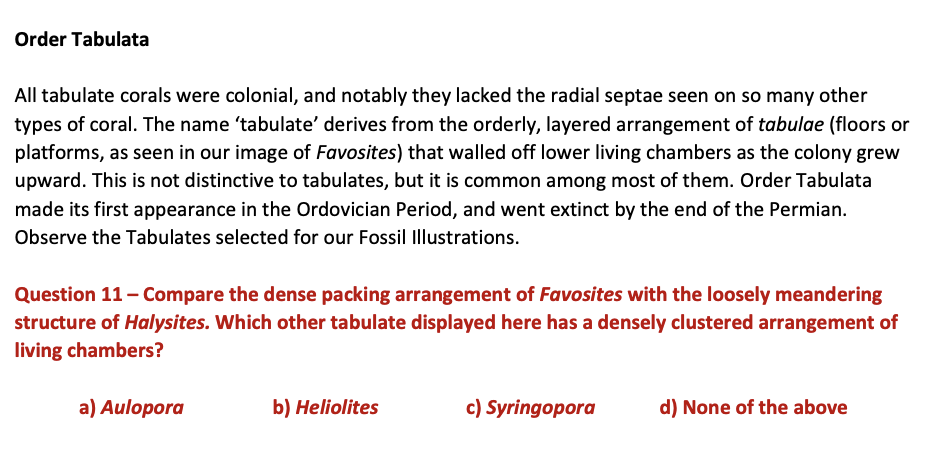 Solved Order Tabulata All tabulate corals were colonial, and | Chegg.com