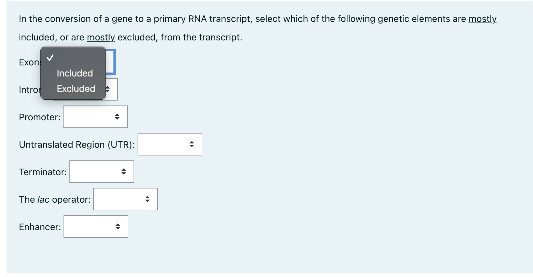 Solved In the conversion of a gene to a primary RNA | Chegg.com
