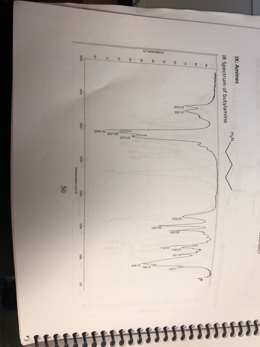 Solved IR Spectrum of butylamine | Chegg.com