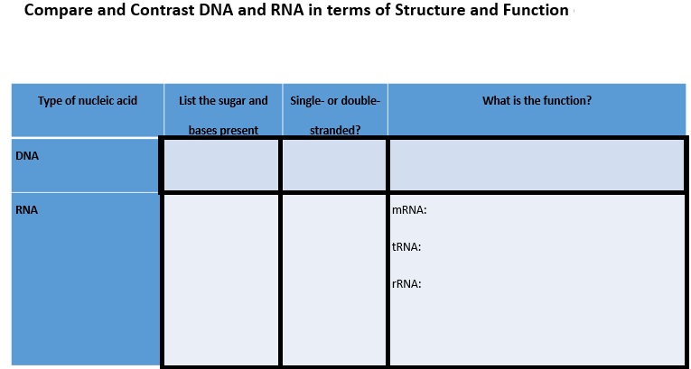 Solved Compare and Contrast DNA and RNA in terms of | Chegg.com