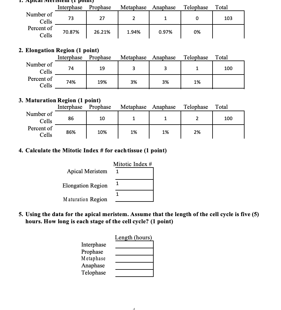 Solved Interphase Prophase Metaphase Anaphase Telophase | Chegg.com