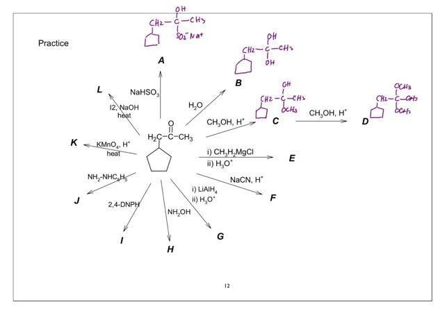 Solved OH CH2-C-CH3 Sonat Practice PH CH2-C-CH OH OCH3 Octs | Chegg.com