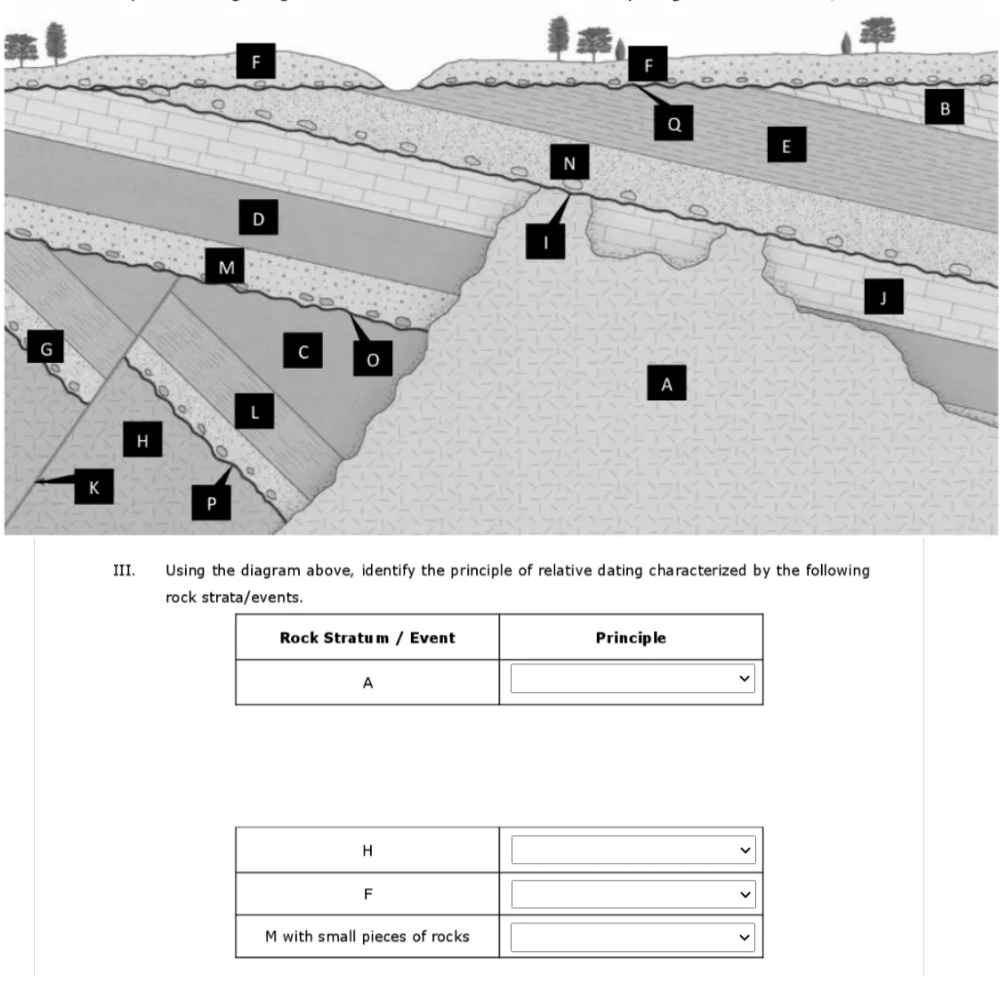 Solved Using the diagram above, identify the principle of | Chegg.com