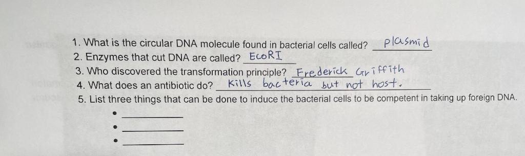 Solved What is number 5? This is about Bacterial | Chegg.com