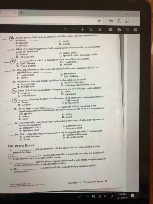Solved The Endocrine System Chapter Objectives 1. Compare | Chegg.com
