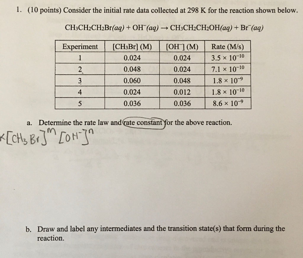 Solved 1 10 Points Consider The Initial Rate Data