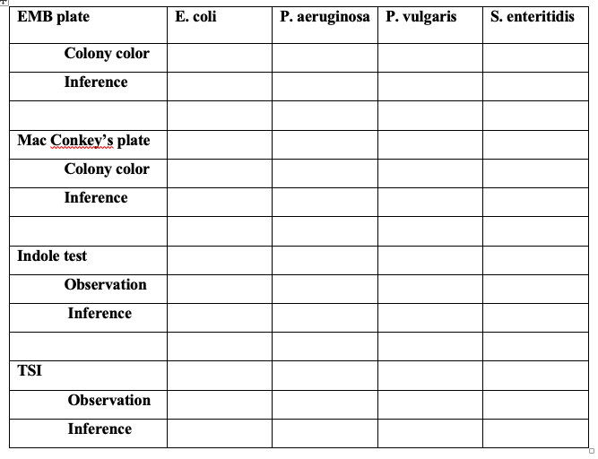 Solved EMB plate: Inference (pink: lactose fermenter) Mac | Chegg.com