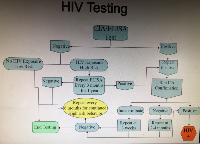 Solved HIV Testing EIA/ELISA Test Negative b| Positive o HIV | Chegg.com