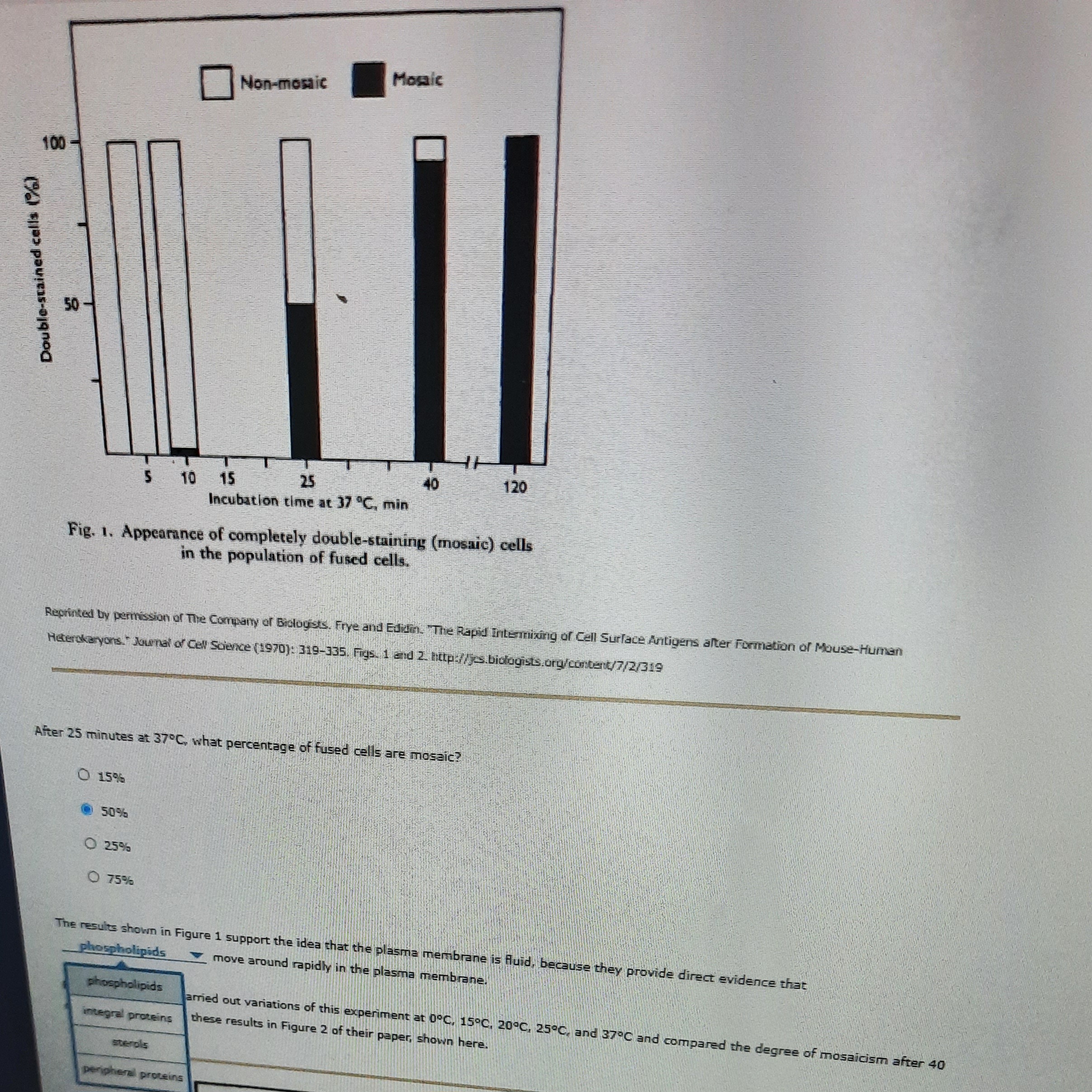 Solved Fig. 1. ﻿Appearance of completely double-staining | Chegg.com