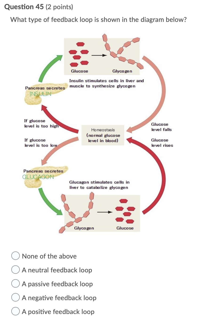 Solved Question 45 (2 points) What type of feedback loop is | Chegg.com
