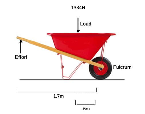 Solved How much Force (Effort) is required to lift the load | Chegg.com