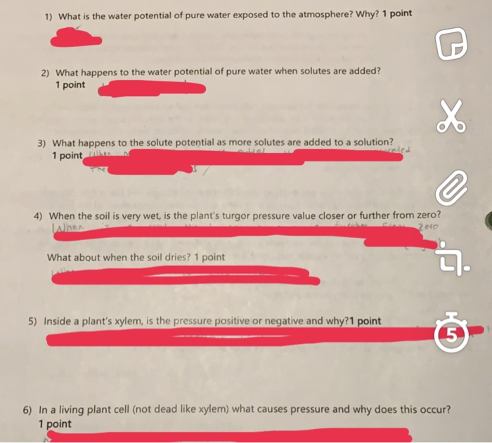 Solved 1) What is the water potential of pure water exposed | Chegg.com