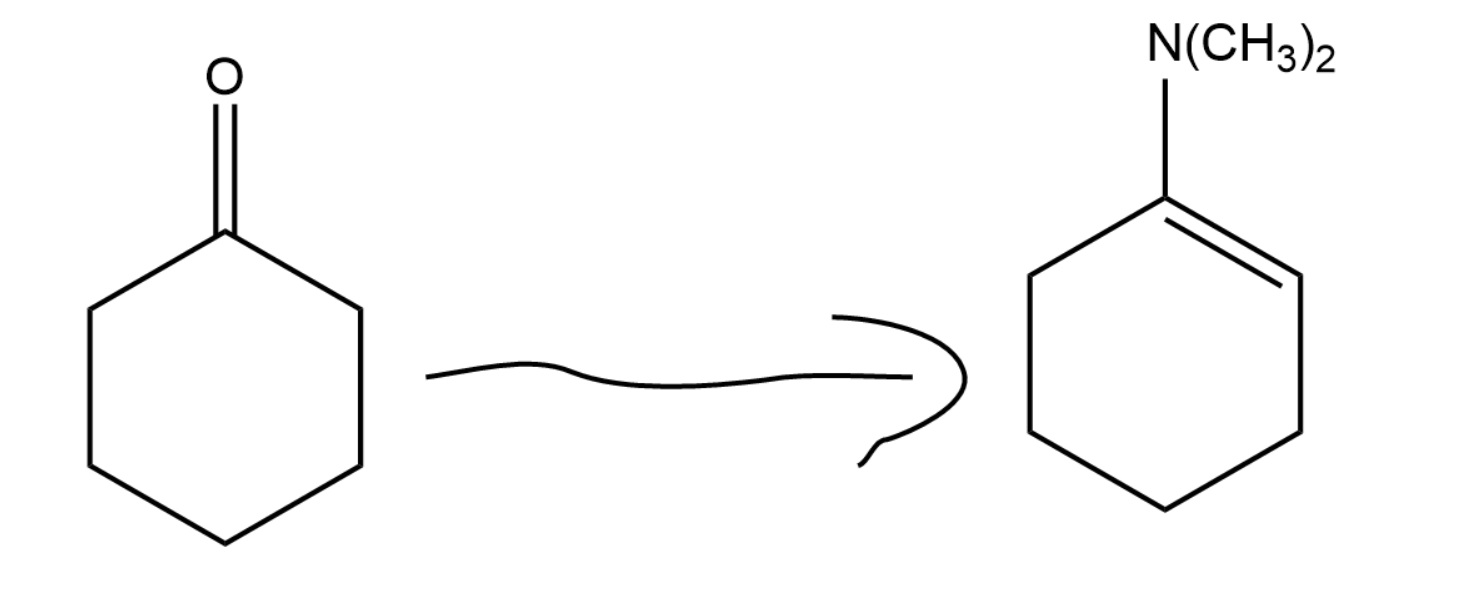 Solved N(CH3)2 O | Chegg.com