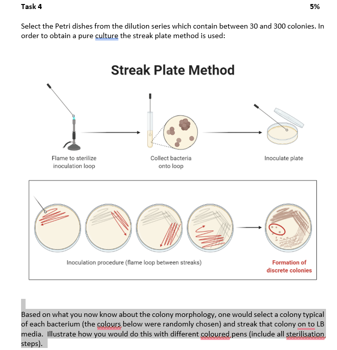 Solved Task 4 5% Select the Petri dishes from the dilution | Chegg.com