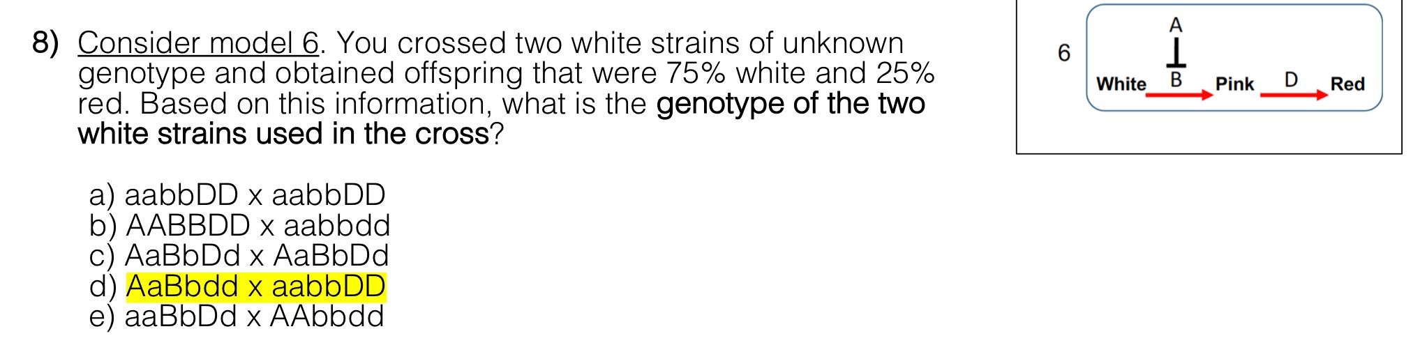 Solved 8) Consider model 6. You crossed two white strains of | Chegg.com