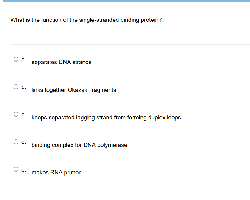 What is the function of the single-stranded binding | Chegg.com