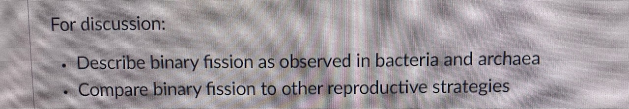 Solved For discussion: - Describe binary fission as observed | Chegg.com